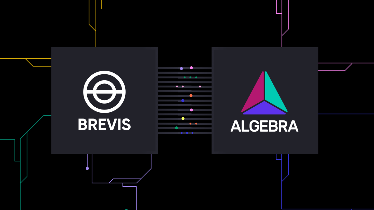 Next-Gen Data-Driven Features For DEXes: Algebra and Brevis Launch ...