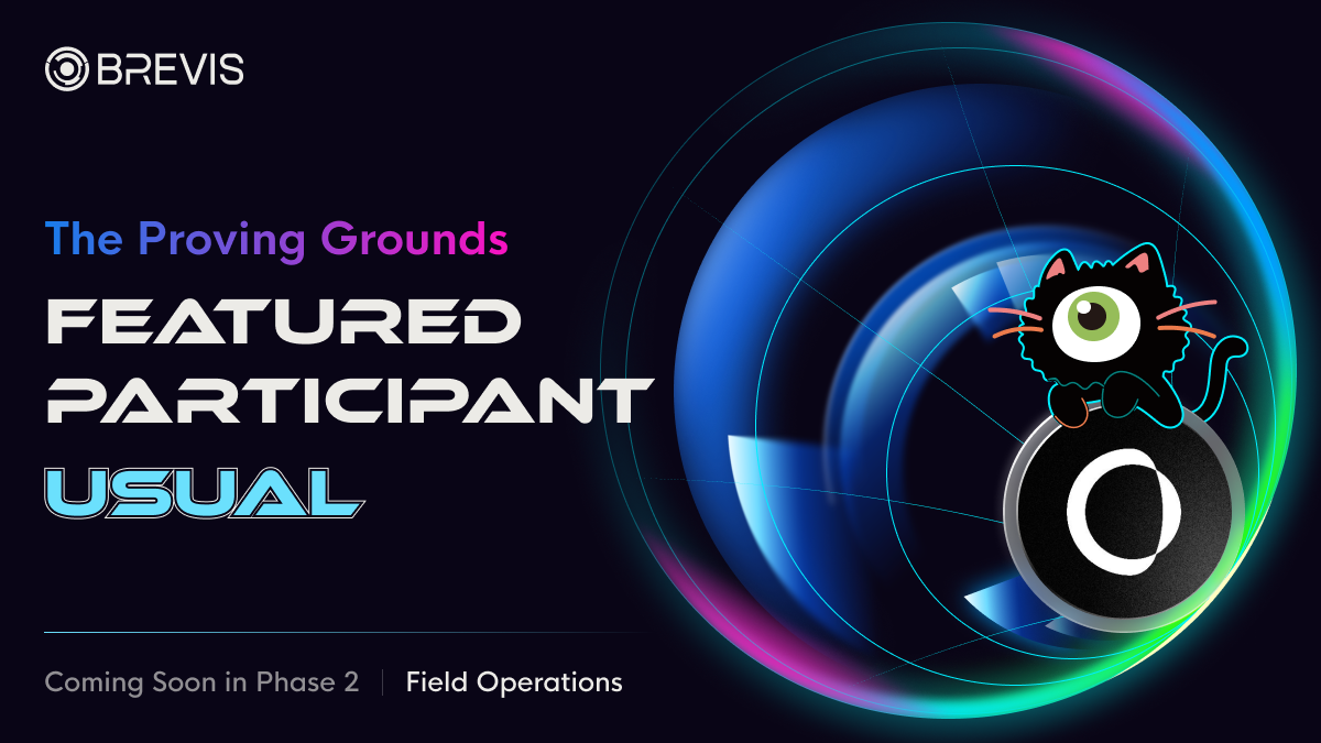 Proving Grounds Partner: Usual – Brevis Network© 2023
