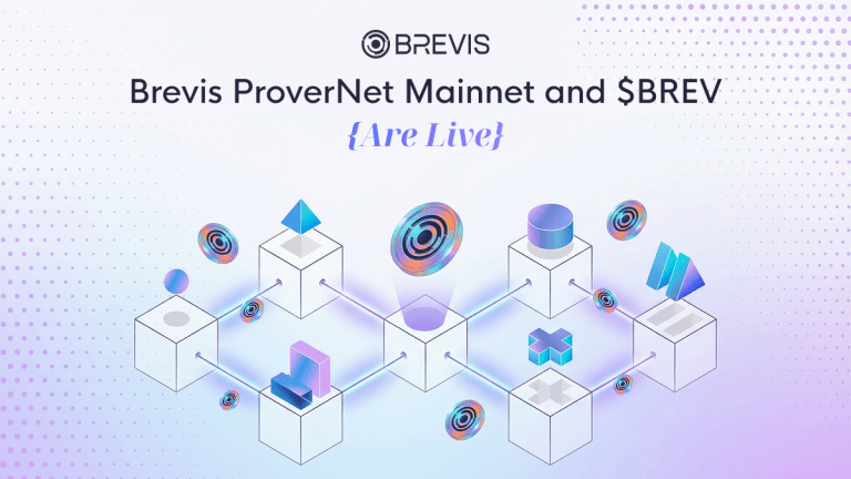 Brevis Network© 2023